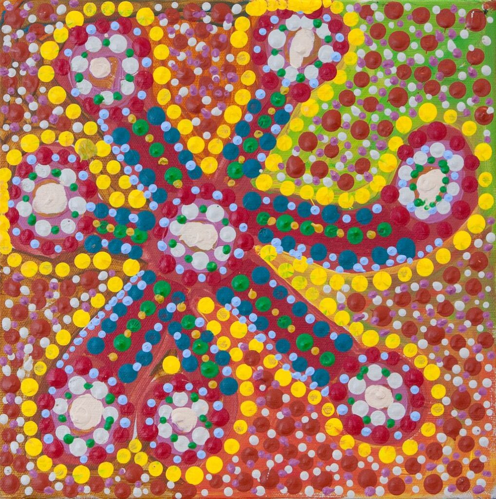 Box Canvas - Martumili Artists Online Store