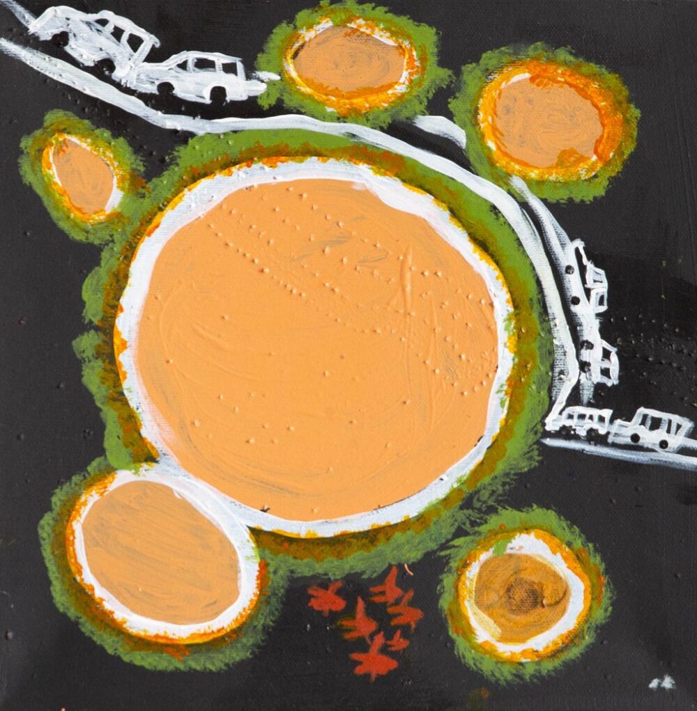 Box Canvas - Martumili Artists Online Store